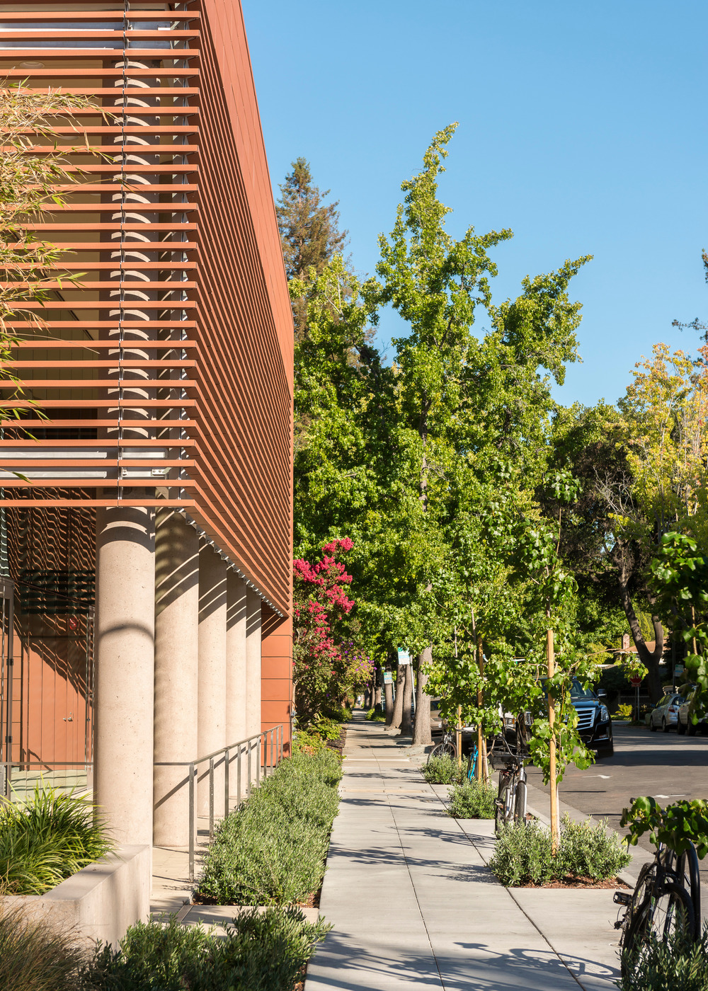 611 Cowpe Awarded Architectural Excellence / Hayes Group Architects ...