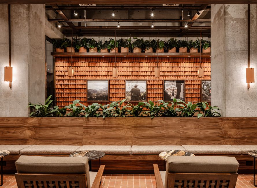 Kali Coffee Roasters: Crafting Chiapas Culture